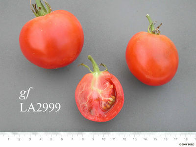 Sol Genomics Network