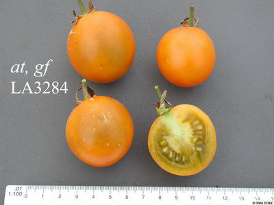 Sol Genomics Network